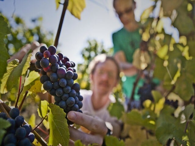 15 Of The Best Willamette Valley Tasting Rooms | Youngberg Hill ...