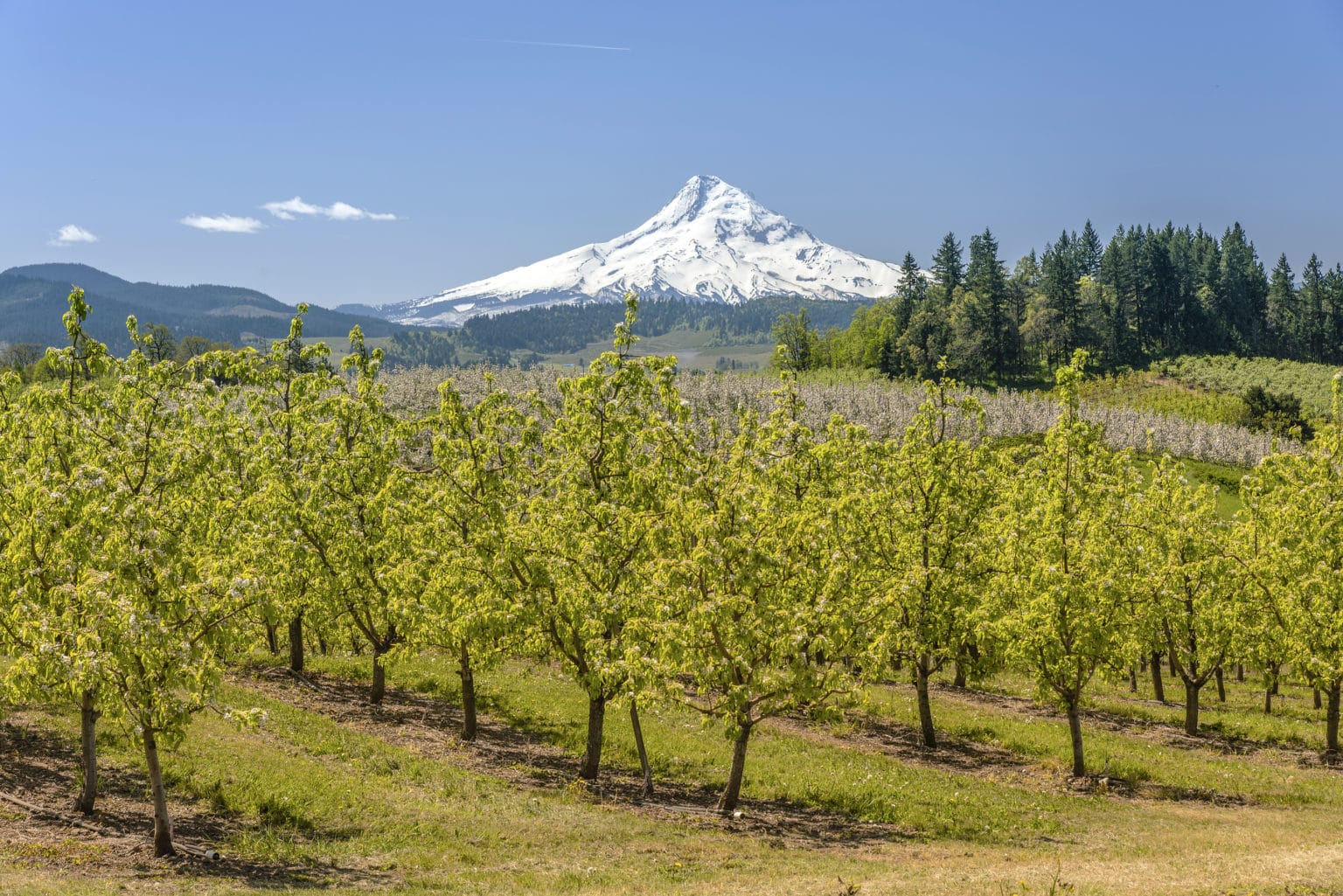 10 Dazzling Oregon Scenic Drives To Take This Fall