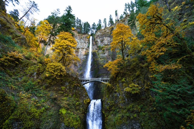 The 6 Best Oregon Waterfalls Near The Willamette Valley